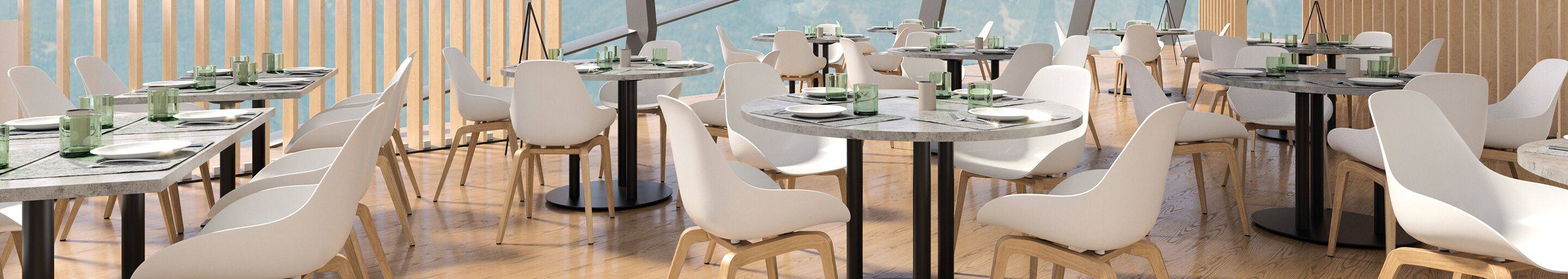 Shell chairs – buy online from professionals | GO IN Onlineshop